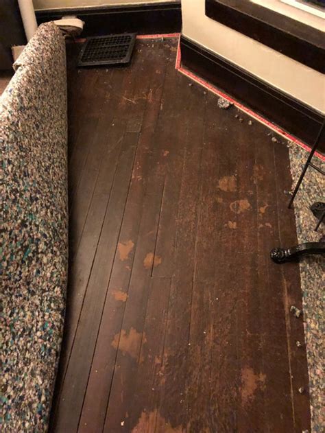Restoring Old Wood Floors Under Carpet Home Alqu