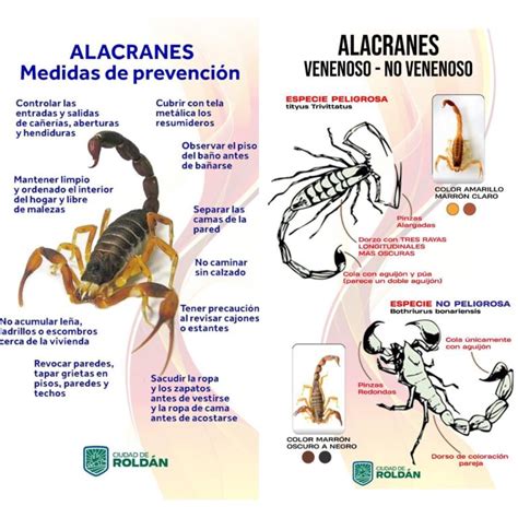 RECOMENDACIONES ANTE LA APARICIÓN DE ALACRANES Municipalidad de Roldán