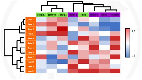 Heatmaps For Gene Expression Analysis Simple Explanation With An