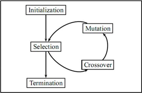 survival of the fittest variation evolutionary algorithms in optimization