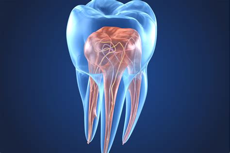 Endodoncja Józefów Otwock Wiązowna