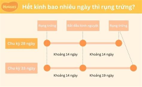 Cách tính hết kinh bao nhiêu ngày thì rụng trứng Huggies