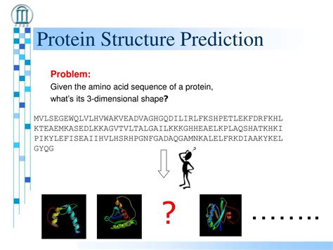 ppt computational methods for protein structure prediction powerpoint presentation id 3568005