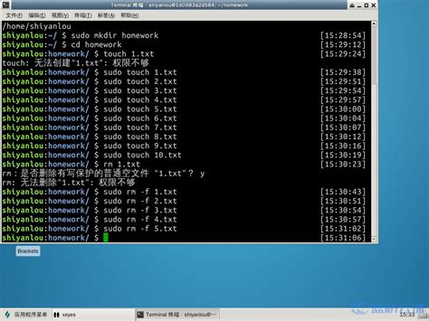 linux 目录结构及文件基本操作 蓝桥云课