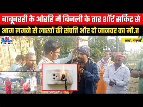 बजल क तर शरट सरकट स लख क सपतत और द जनवर ज लकर हआ म