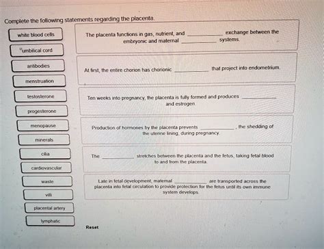 SOLVED Complete The Following Statements Regarding The Placenta While