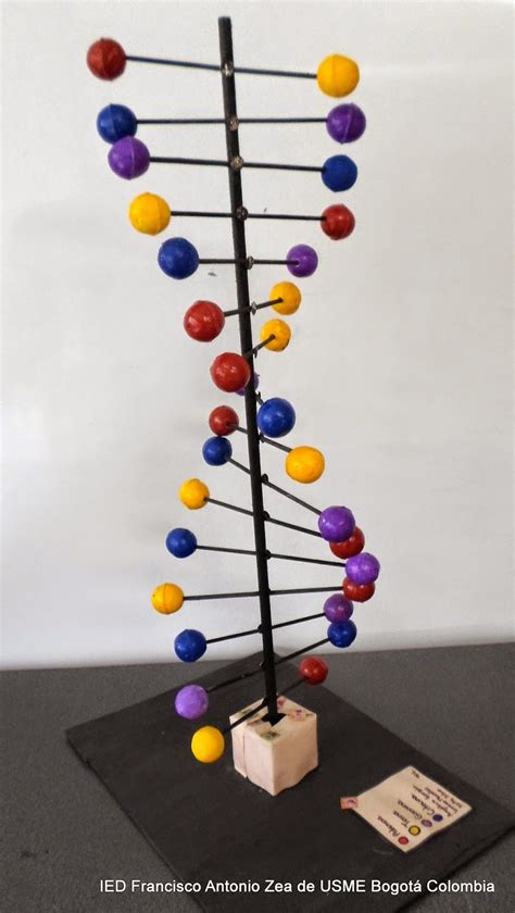 Maqueta De Adn Facil Como Hacer Maquetas Como Hacer Una Maqueta Del