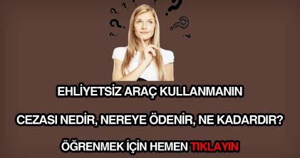 Ehliyet ceza puanı ne zaman nasıl silinir sıfırlanır