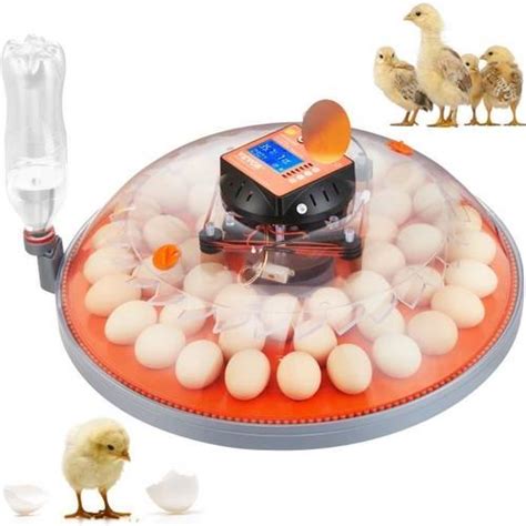 Couveuse Oeuf Automatique VEVOR Couveuse D Uf Incubateur Pour