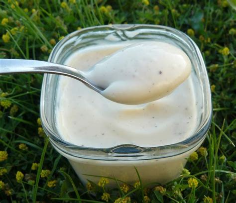 Crème façon Danette à la Multidélices Le journal de Cécile Recette