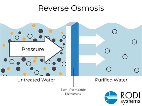 How Does Reverse Osmosis Work RODI Systems Corp Water And Wastewater