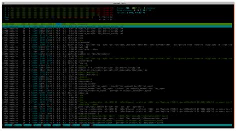 debugging in parallel — numerical simulation 1 0 documentation