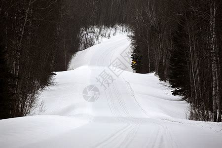 冬季的雪覆盖道路风景旅行白杨树照片场景水平高清图片下载 正版图片320621206 摄图网