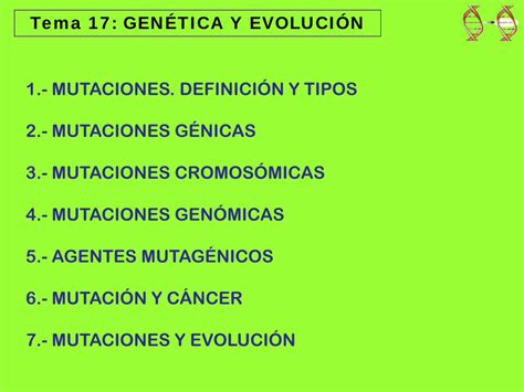 PDF 1 MUTACIONES DEFINICIÓN Y TIPOS 2 Mutación del mtDNA