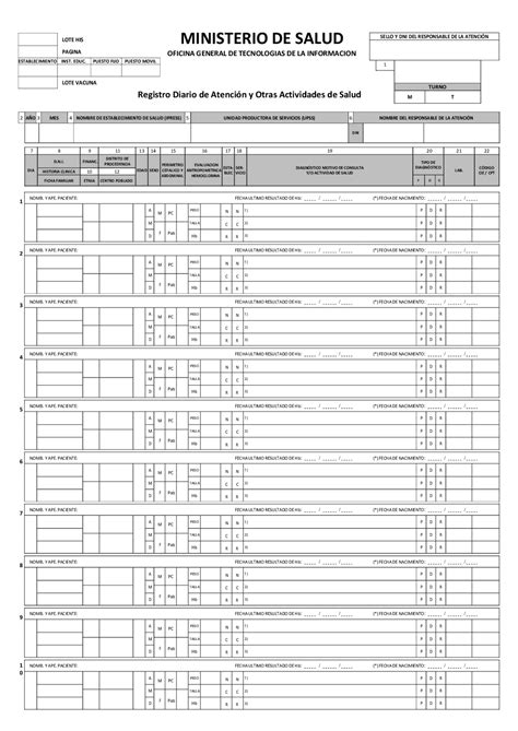 FORMATO HIS MINSA Apuntes de Enfermería comunitaria
