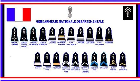 GRADI DELLE FORZE ARMATE ITALIANE E DEI PAESI CONFINANTI Forza