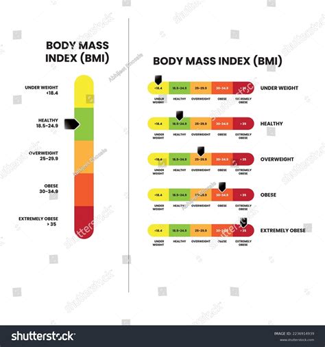 840 Bmi Meter Images Stock Photos Vectors Shutterstock