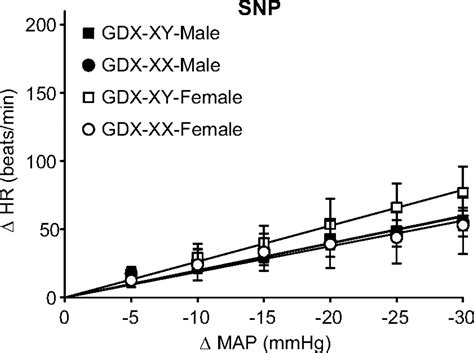 sex chromosome complement contributes to sex differences in bradycardic baroreflex response