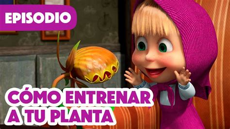 Masha Y El Oso Castellano Nuevo Episodio C Mo Entrenar A Tu