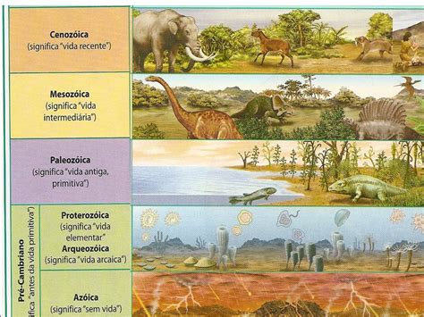 BLOG DO QUADRADO As Eras Geológicas
