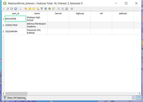 Attribute Table In Qgis Showing A Subset Of Desired Features After