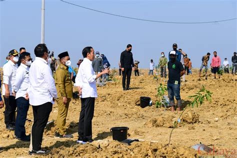 Kunjungi Kota Gresik Presiden Jokowi Luncurkan Lumbung Pangan Berbasis