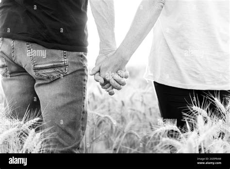 Couple Holding Hands In A Wheat Field On A Summer Evening At Sunset Black And White Sunlight