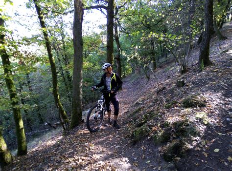 schönsten MTB Touren Trails in Thallichtenberg Outdooractive