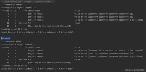 java对象结构解说 csdn博客