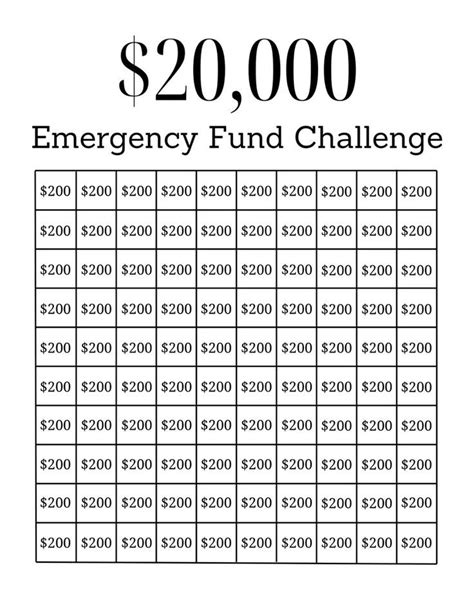 The Emergency Fund Challenge Is Shown In Black And White With