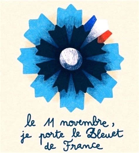 Hérault le Bleuet de France l incontournable symbole des cérémonies