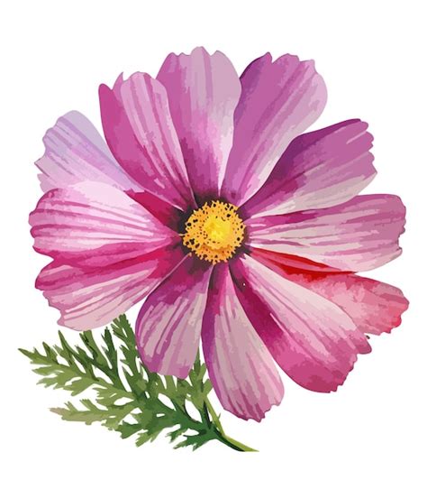 Aquarela buquê de flor dália rosa isolada em fundo branco arranjo