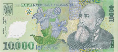 T Nica Laberinto Paquete O Empaquetar Banca Nationala A Romaniei Lei
