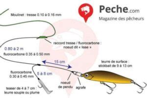 Montage Bas de Ligne Pêche en Mer Guide Complet pour les Pêcheurs en