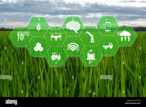 Iot Internet Of Things Farmer Agriculture Concept Smart Farm With
