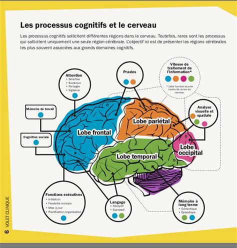 Qu Est Ce Que Les Fonctions Cognitives