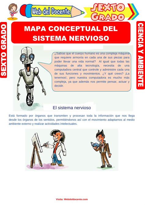 Pdf Mapa Conceptual Del Sistema Nervioso Mapa Conceptual Del