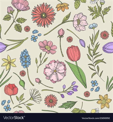 Flowers And Plants Pattern Seamless Background Vector Image