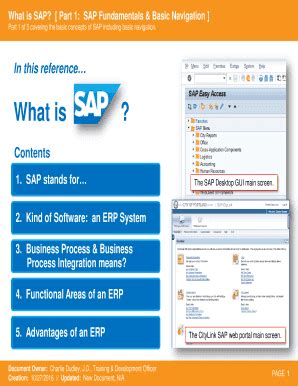 Fillable Online What Is SAP Fax Email Print PdfFiller