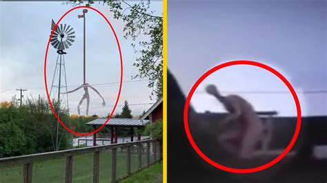 20 Criaturas Mais Assustadoras Capturadas Na Câmera YouTube