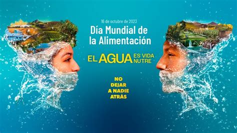 Día Mundial de la Alimentación por qué se celebra hoy 16 de octubre