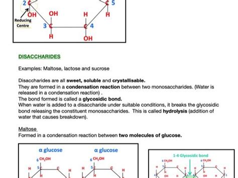 A LEVEL BIOLOGY CARBOHYDRATES Teaching Resources