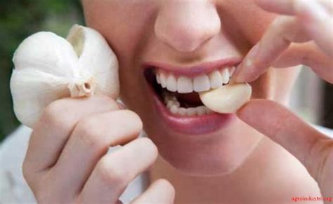 Manfaat Bawang Putih Bagi Kesehatan Dan Pengawet Makanan Agroindustri
