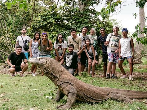 Labuan Bajo Komodo Flores Komodo Packages Bali Komodo Dragon Tour