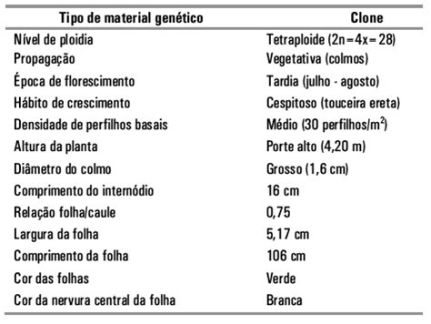 BRS Capiaçu cultivar de capim elefante de alto rendimento para