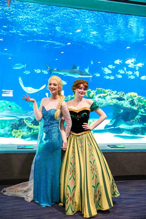 Odysea Aquarium Anna And Elsa Are Visiting Our Deep Frozen