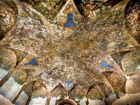 Leonardo Da Vinci Frescoes Asse Axis Hall Sforzesco Milan