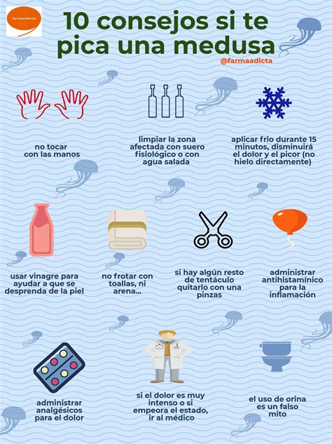 consejos si te pica una medusa infografía farmaadicta