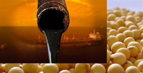 Petróleo cresce e é o 2º produto mais exportado pelo Brasil Brasilagro