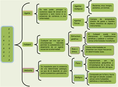 Cómo hacer un cuadro sinoptico del medio ambiente Incluye VÍDEO